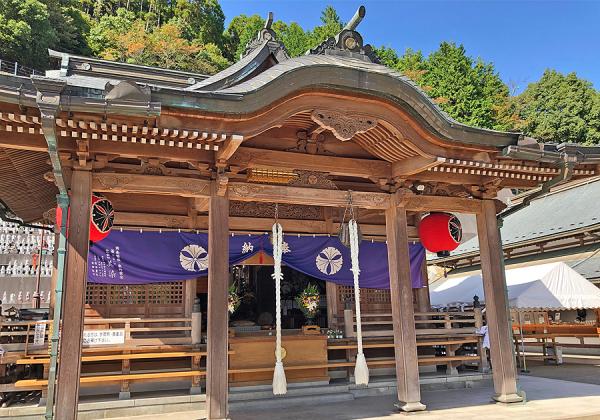 【福岡・福岡市（博多・天神）発】人気の日帰り・宿泊バスツアー｜【たび比較なび】