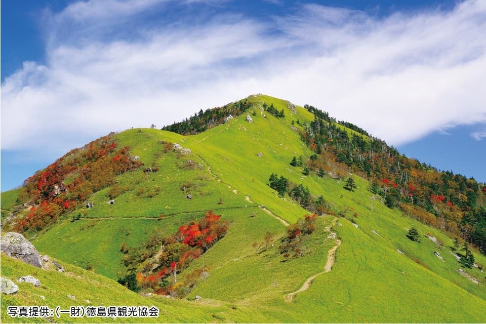 人気の日帰り・宿泊バスツアー 山陽バス（山陽バストラストツアー）｜【たび比較なび】